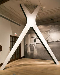 Other Primary Structures