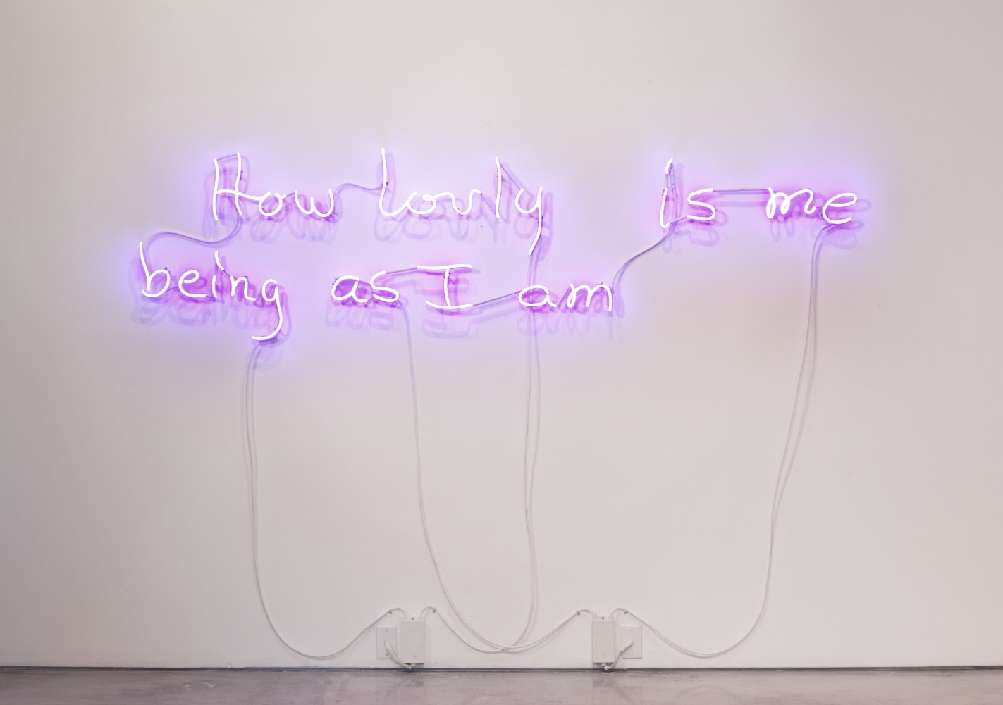 Transamerica/n: Gender, Identity, Appearance Today, Andy Warhol ...